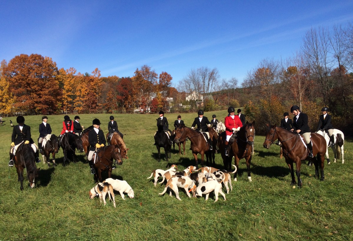 Foxhunting Information Session – Old North Bridge Hounds